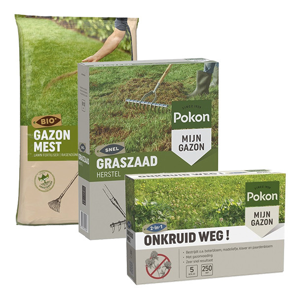 Compleet gazonpakket | Pokon | 250 m² (Gazonmest, graszaad en ...