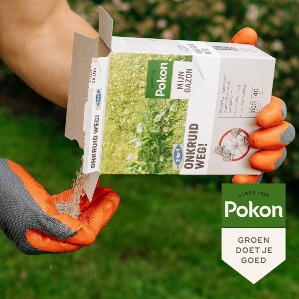 Klaver bestrijden gazon | Pokon | 40 m² (800 gram) Pokon Kabelshop.nl