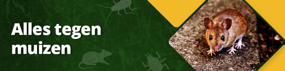 ⋙ Muizen bestrijden? | Ruim assortiment | Kabelshop.nl