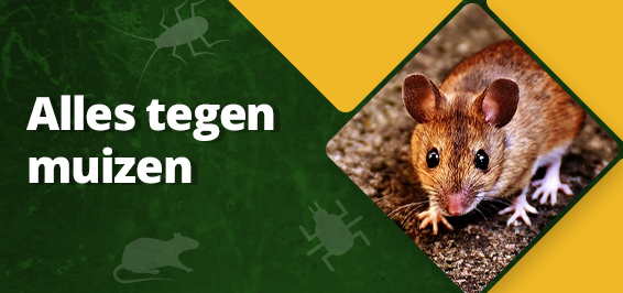 ⋙ Muizen bestrijden? | Ruim assortiment | Kabelshop.nl