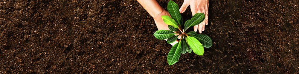 Potgrond Tuinieren Buiten Moestuin grond | Pokon | 20 L (Biologisch ...